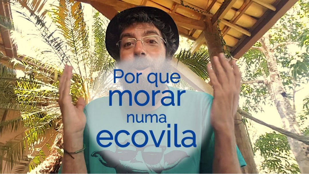 Por que morar numa ecovila? [Viver em Comunidade 1/4] | Irradiando Luz